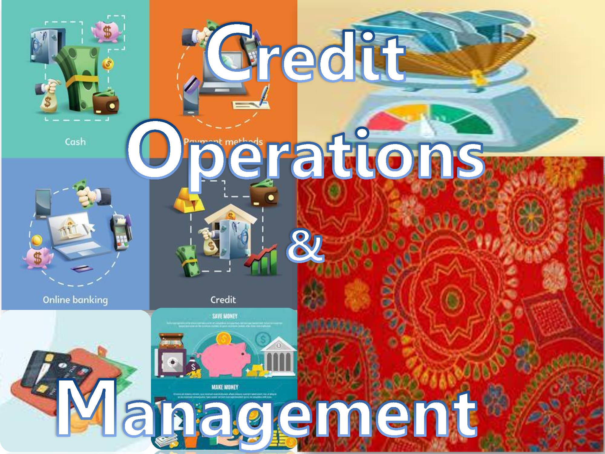 Management of credit operations | IBB